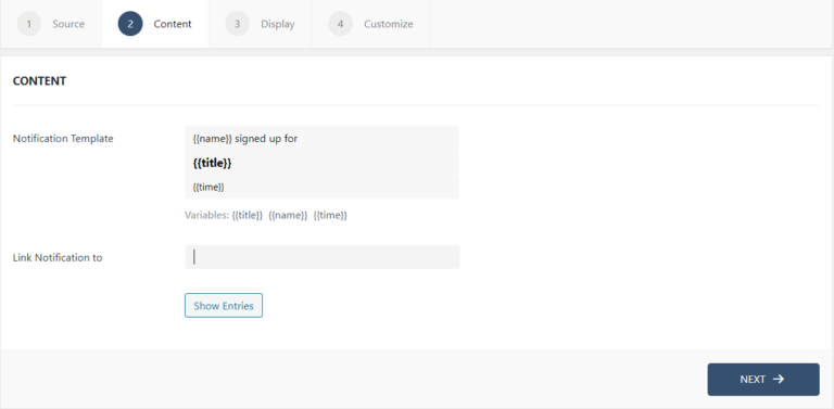 How to Display Conversions from MailerLite using Custom Form URL? - WPfomify